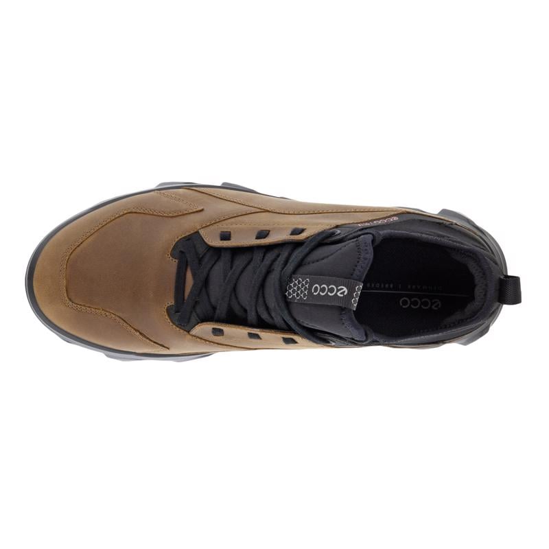 Brown ECCO MX M CAMEL | ECCO Türkiye