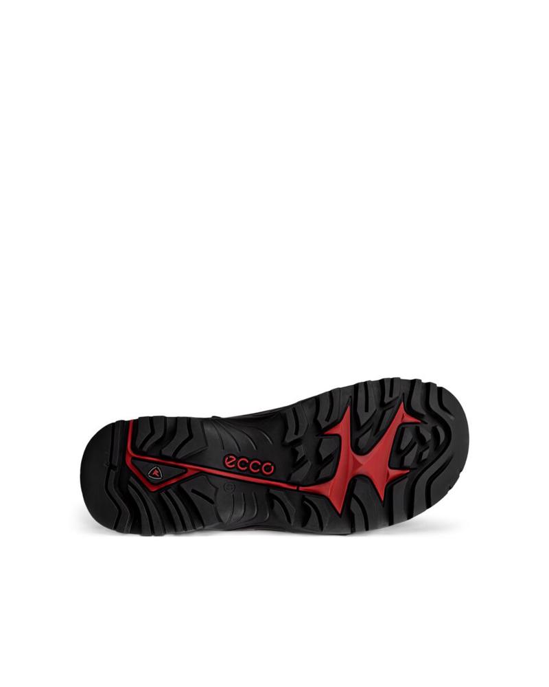 Siyah ECCO Offroad | Ecco