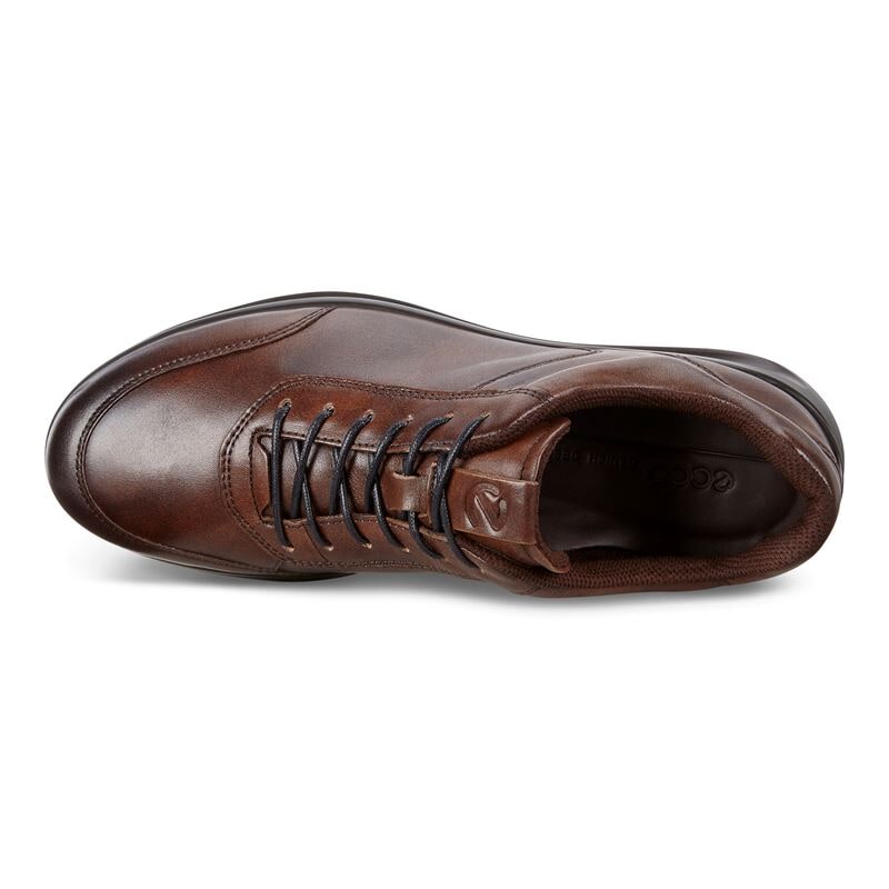 Aquet Cocoa Brown The Natrual | ECCO® Türkiye