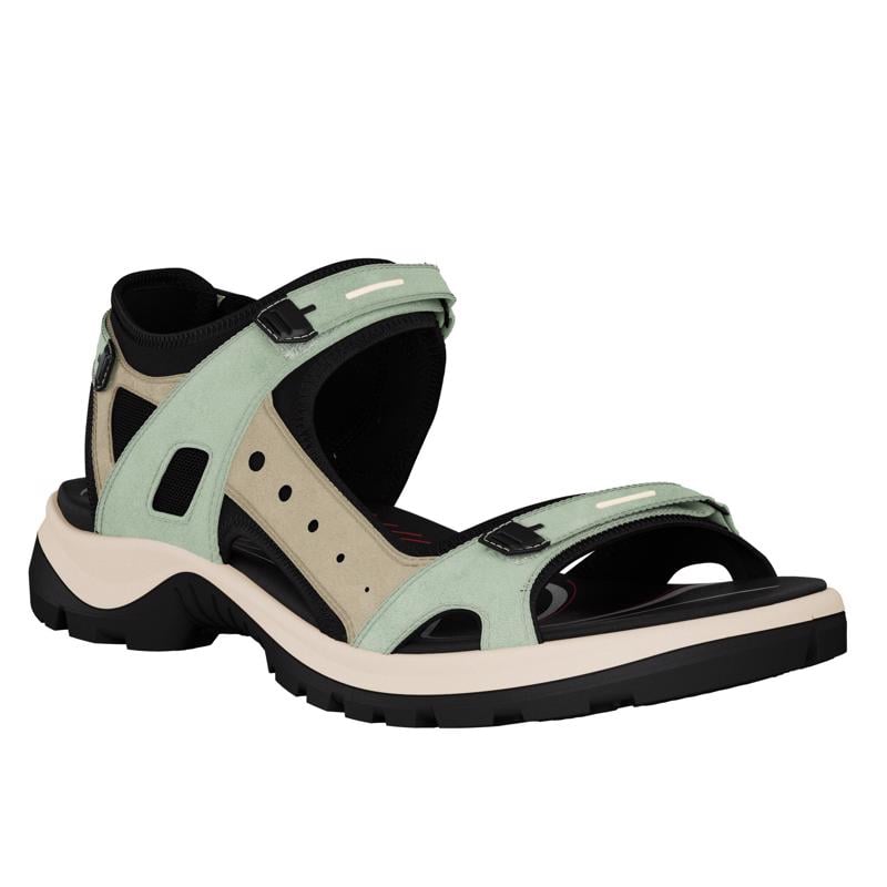 Offroad Black/Mole/Black O.Nub/O.Nub/Tex | ECCO® Türkiye