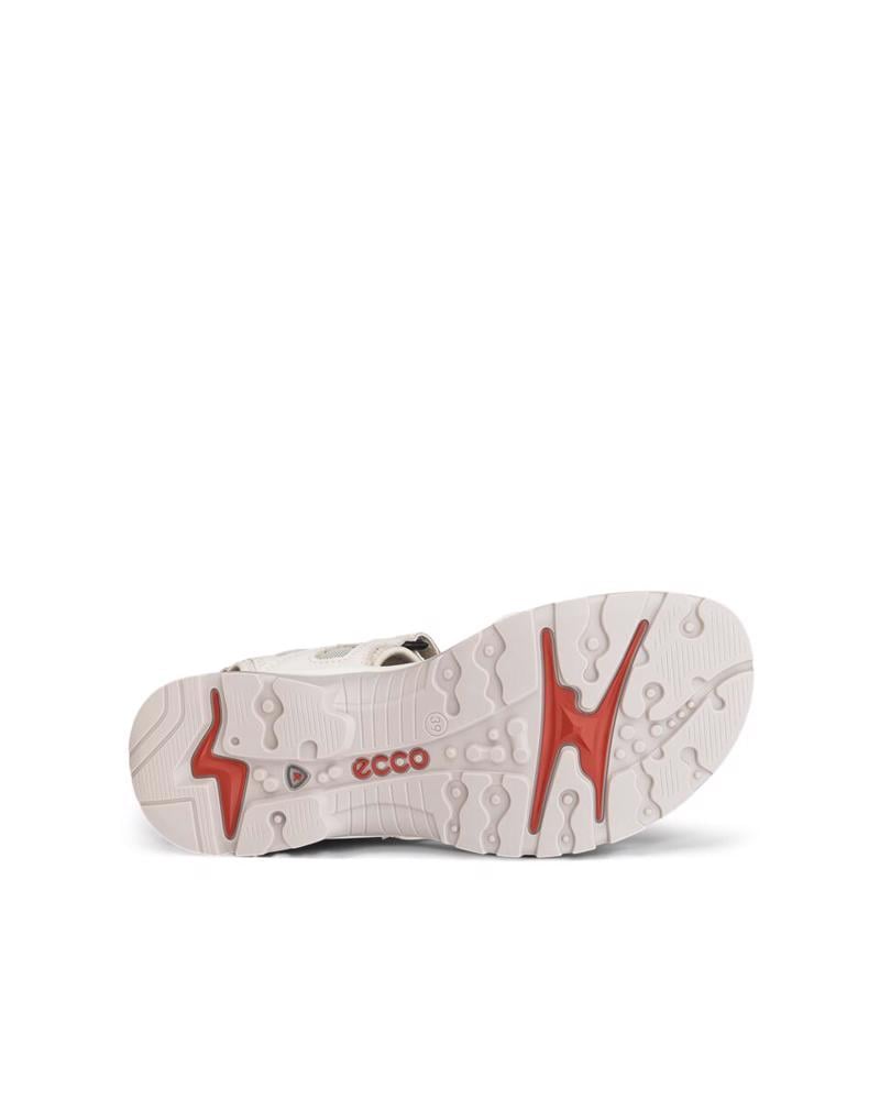 Bej ECCO OFFROAD LIMESTONE | Ecco